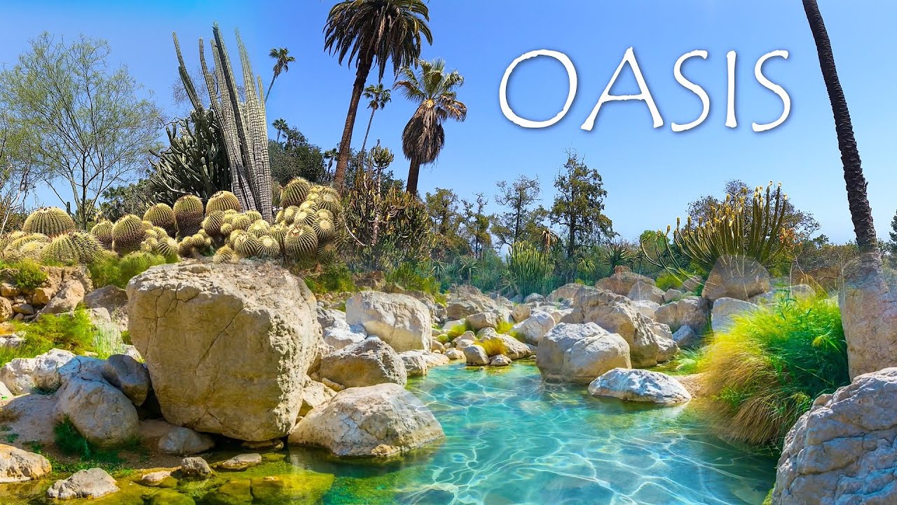 Journey to OASIS (Self-Guided Meditation) - YouTube