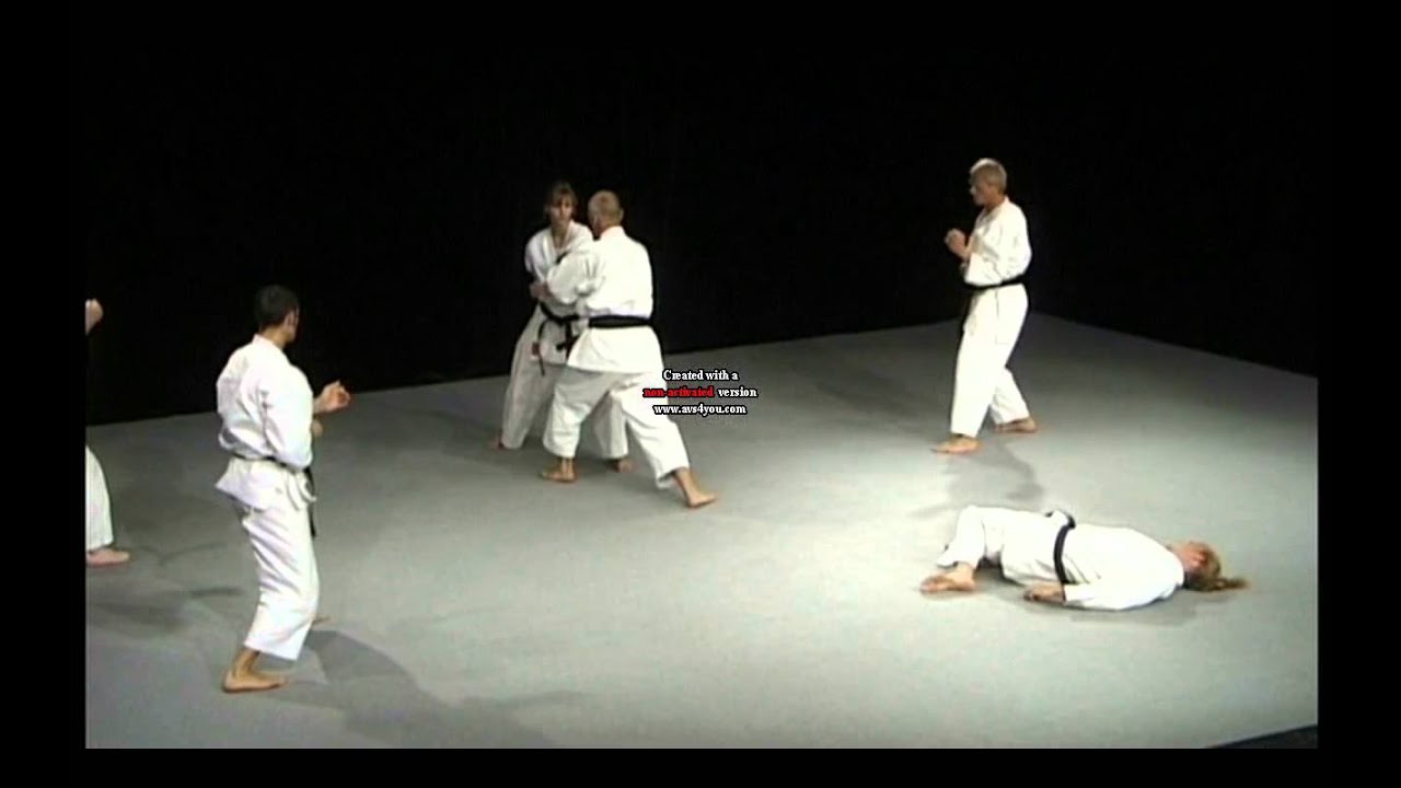 Bunkai Heian Nidan - YouTube