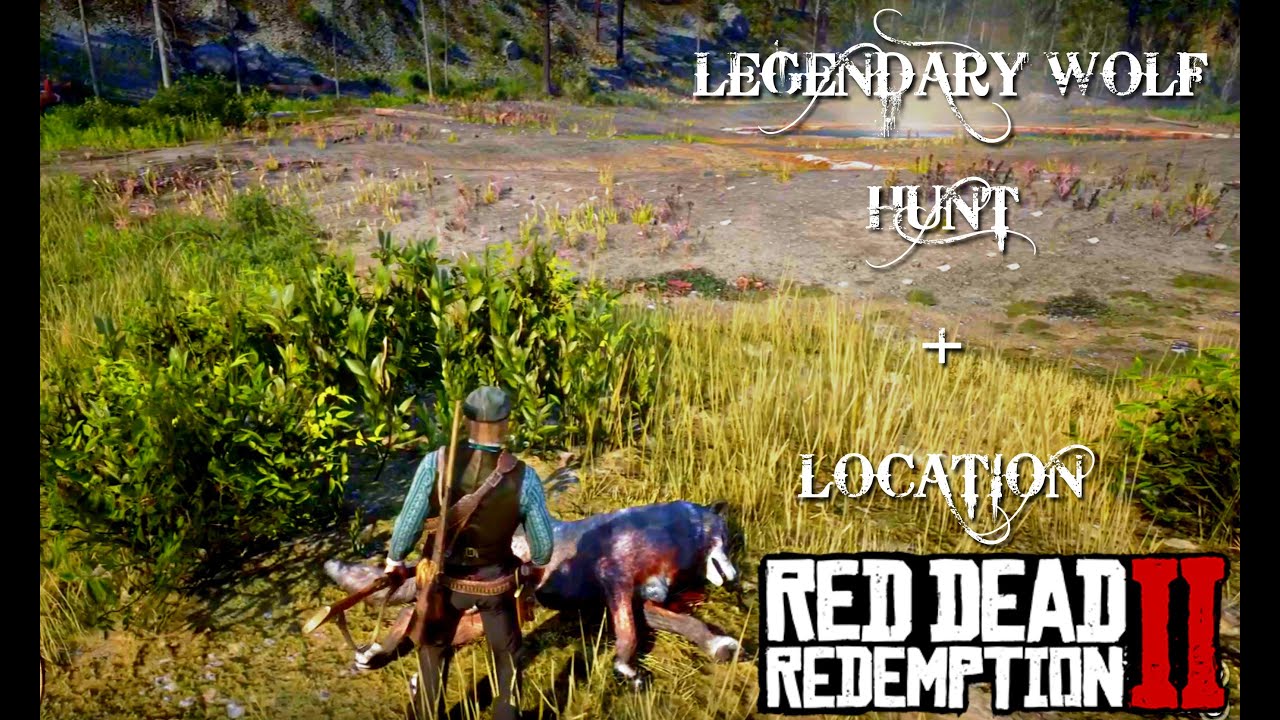 HOW TO HUNT The Legendary Wolf + Location | Red Dead Redemption 2 - YouTube