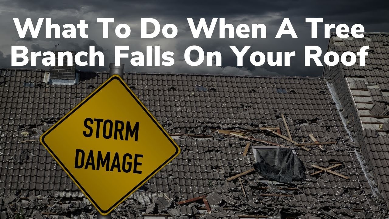 What Should You Do When A Tree Branch Falls On Your Roof? - YouTube