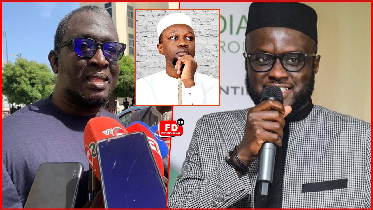 Urgent- Ayib Daff à la DAF : El Malick Niaye annonce une très bonne ...