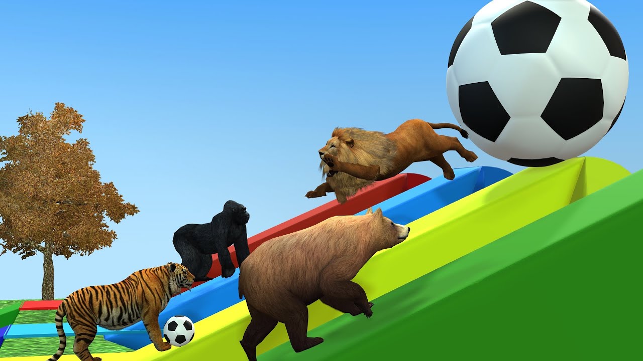 Animals playing with ball. Bujuka Animation Cartoons. - YouTube