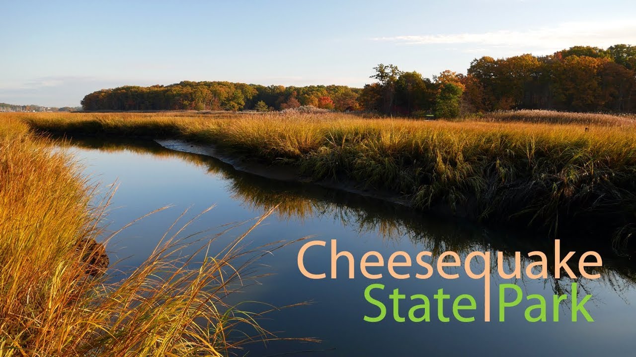 Cheesequake State Park (10-31-2018) - YouTube