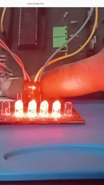 LEDs blinking using PIC16F877A. #electronics #circuitdiagram #tutorial - YouTube
