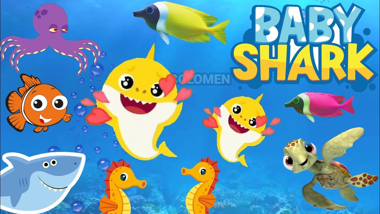 Little Baby Shark Dance at Seaworld with Baby octopus Baby Dolphin show ...