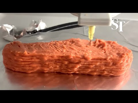 3D-printed 'salmon' from lentils
