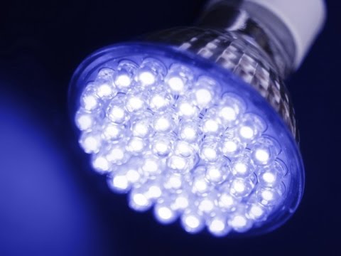 Potential of blue LED's as novel chemical free food preservation ...