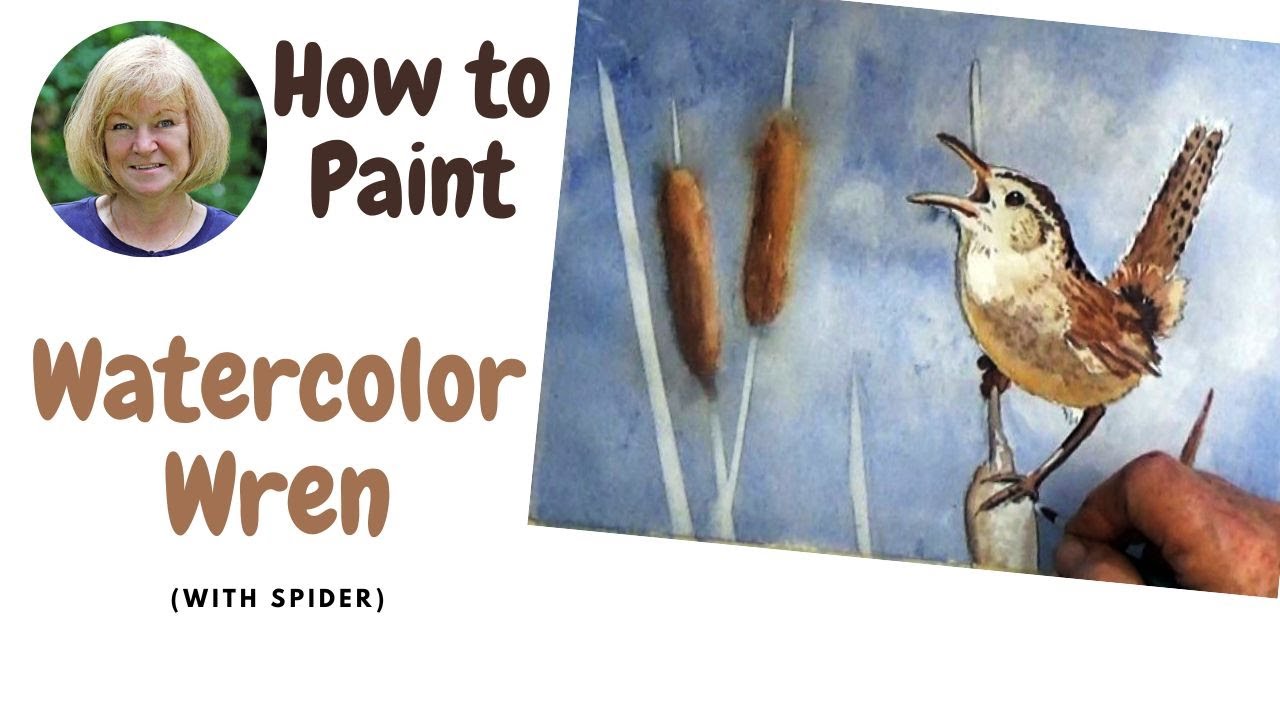 How to Paint Birds in Watercolor - Watercolor Wren Step by Step ...