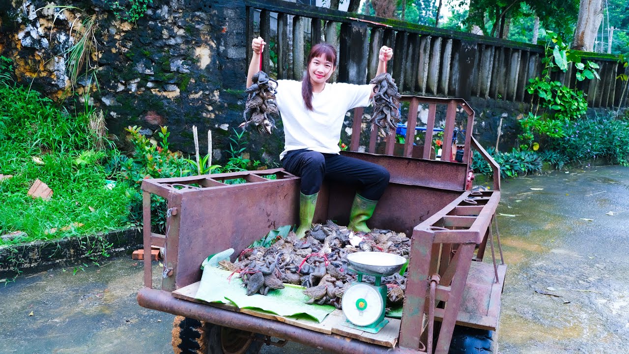 Harvest The Frog Pond - Use A Cart to Transport 1000 Frogs To The ...