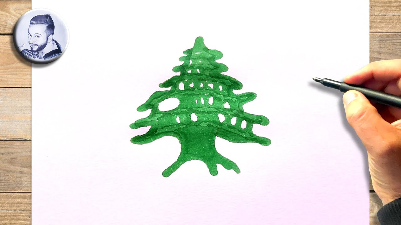 Comment dessiner le cèdre du Liban dessin facile à faire - YouTube