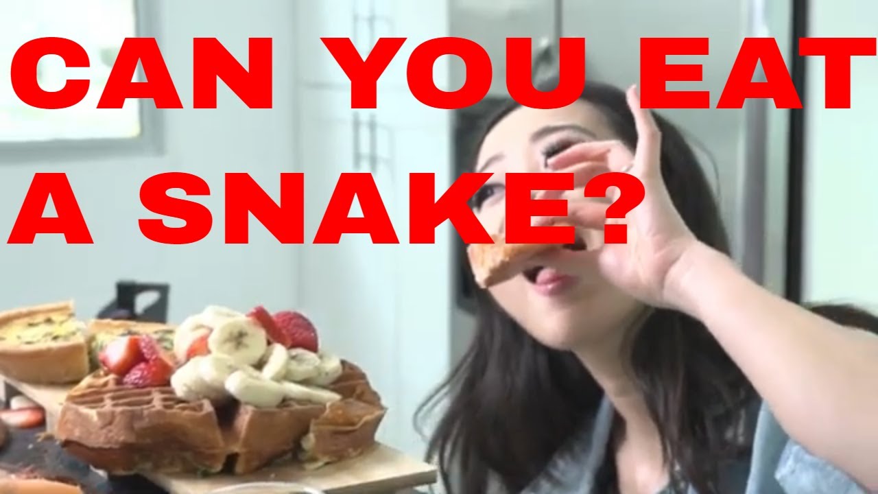 WHAT IS MUKBANG EATING? WHAT IS THE MEANING OF MUKBANG AND WHY PEOPLE ...