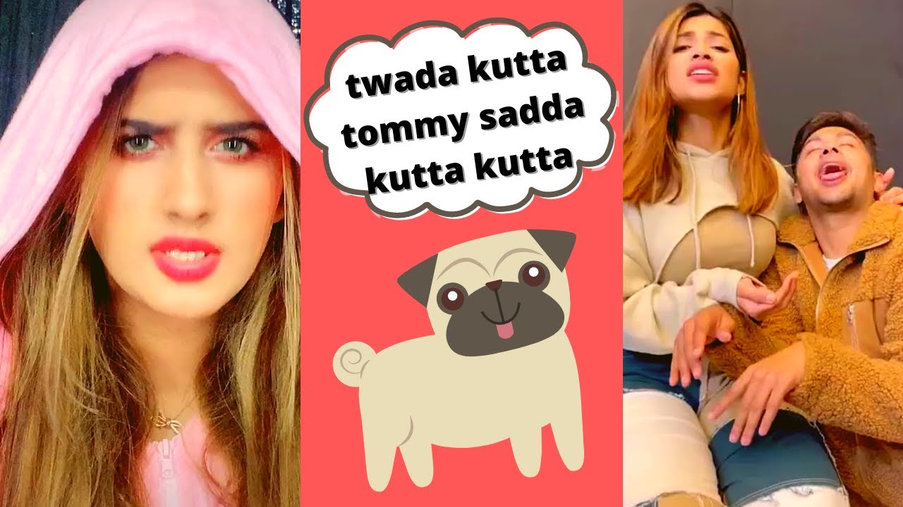 Tuada Kutta Tommy Sadda Kutta Kutta | TikTok Action - YouTube