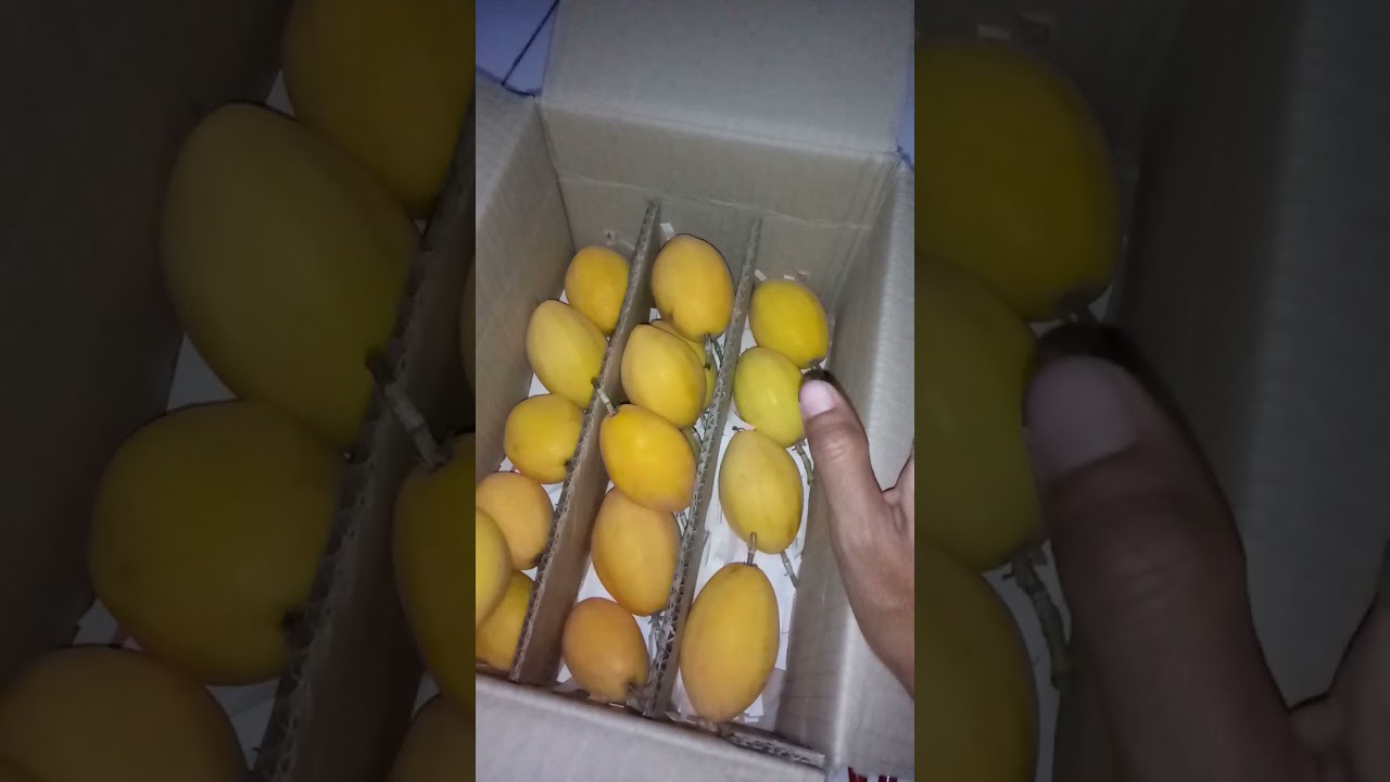 Packing buah markisa lilikoi - YouTube