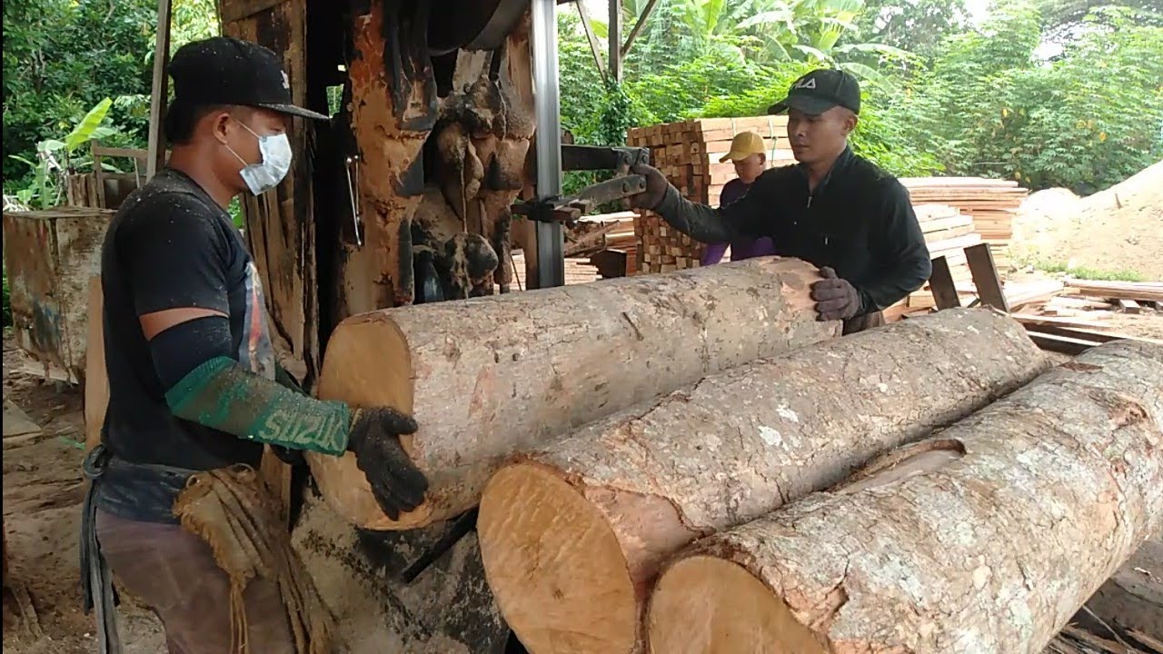 Kayu Medang Memang..Renyah boskuh.. - YouTube