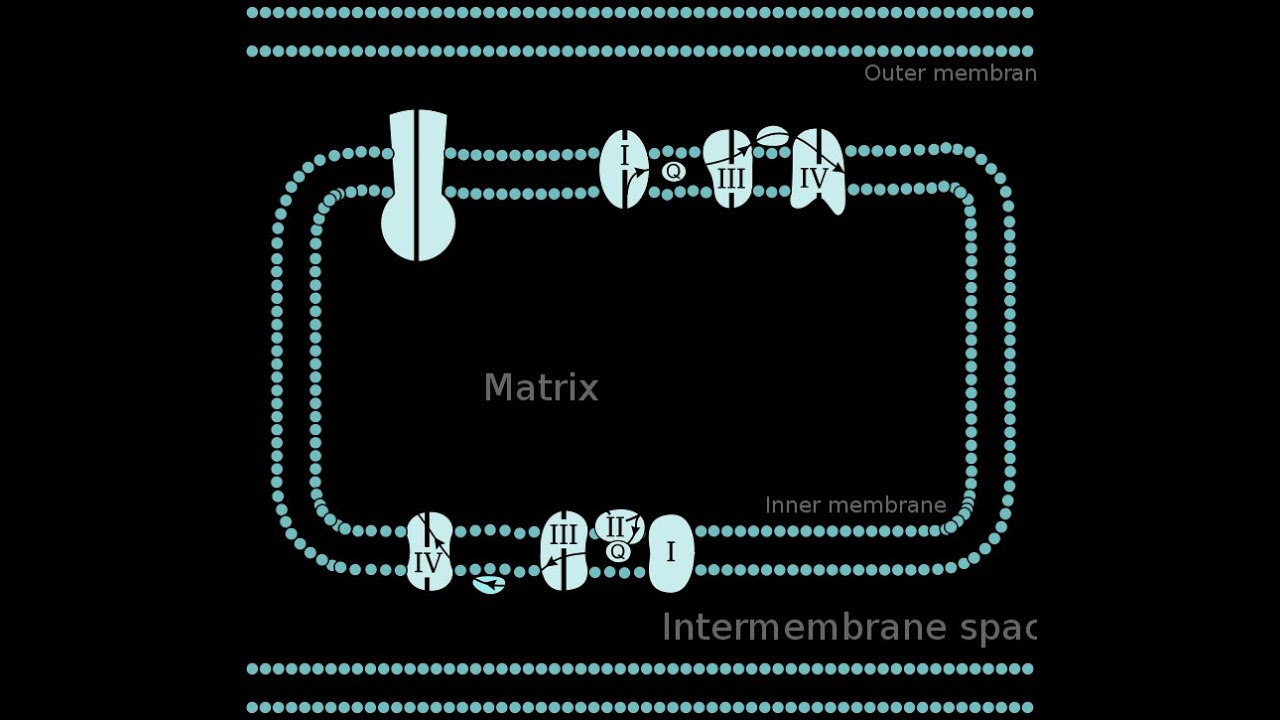 Podcast about time travel schematics - YouTube