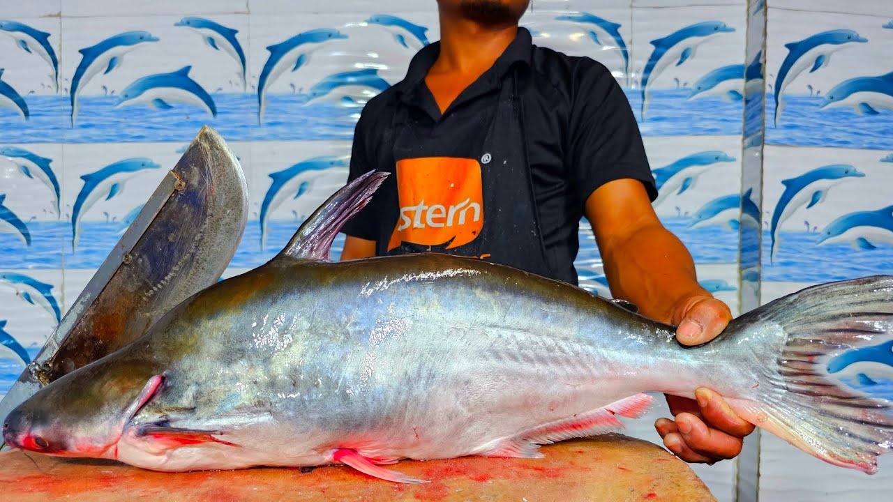 Basa fish Pangasius fish jasar machi cutting !! sagar fish world hoodi ...