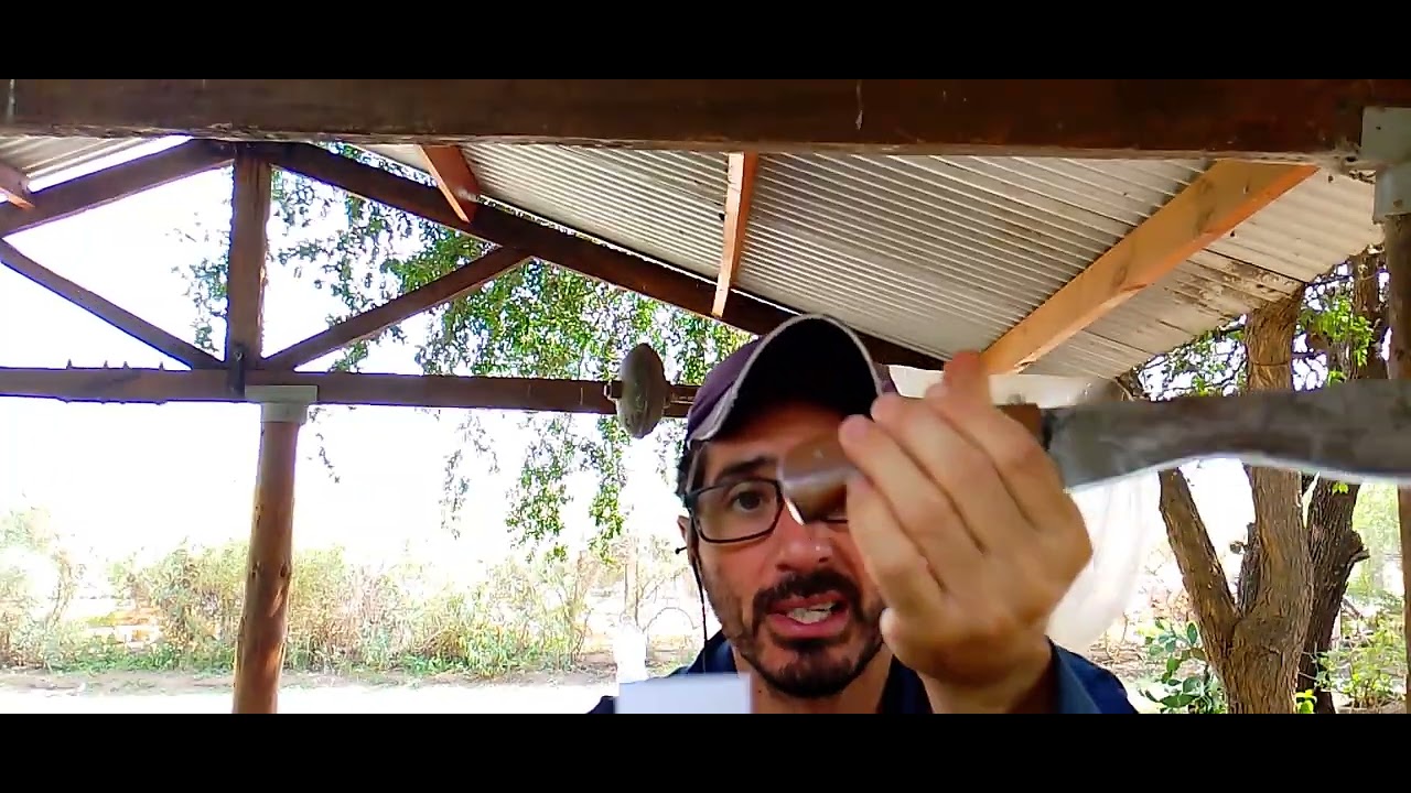 presentación del modelo "BACOTA" y los Gomez Vicario ya se van a ...