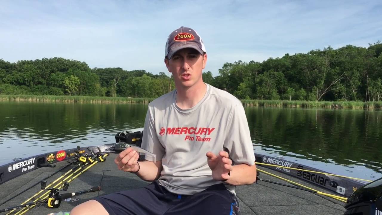 Zoom Bait Swimmers - YouTube