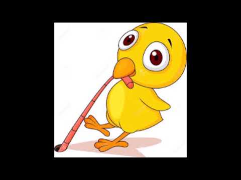 EL POLLITO DESOBEDIENTE Cuentos infantiles con v480P - YouTube