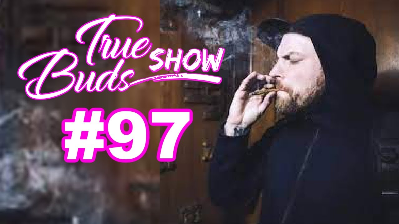 Cannabis and Comedy with @MikeMasilotti True Buds Show Potcast ...