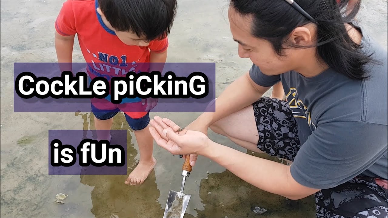 Cockle picking at Sandbanks - YouTube