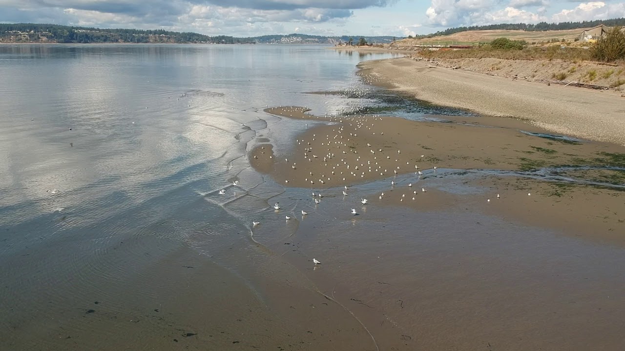 Chambers Bay and Railroad Drawbridge Clip 3 - YouTube
