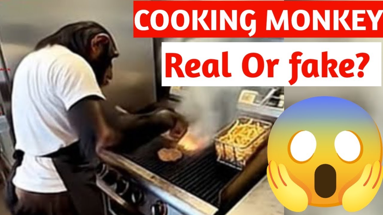 Cooking Monkey Restaurant Real or Fake | Cooking Monkey Restaurant ...