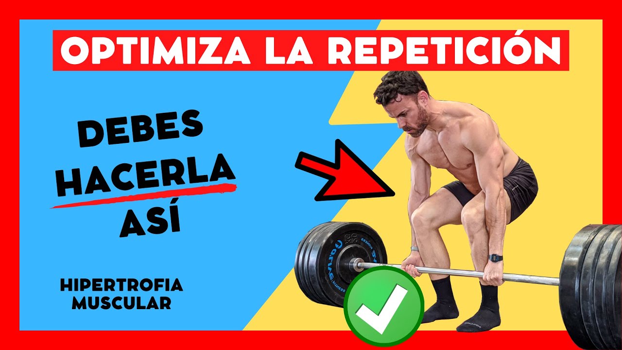 FASE EXCÉNTRICA ¿Es IMPORTANTE para la GANANCIA MUSCULAR o NO? 💪🏻⚠️ ...