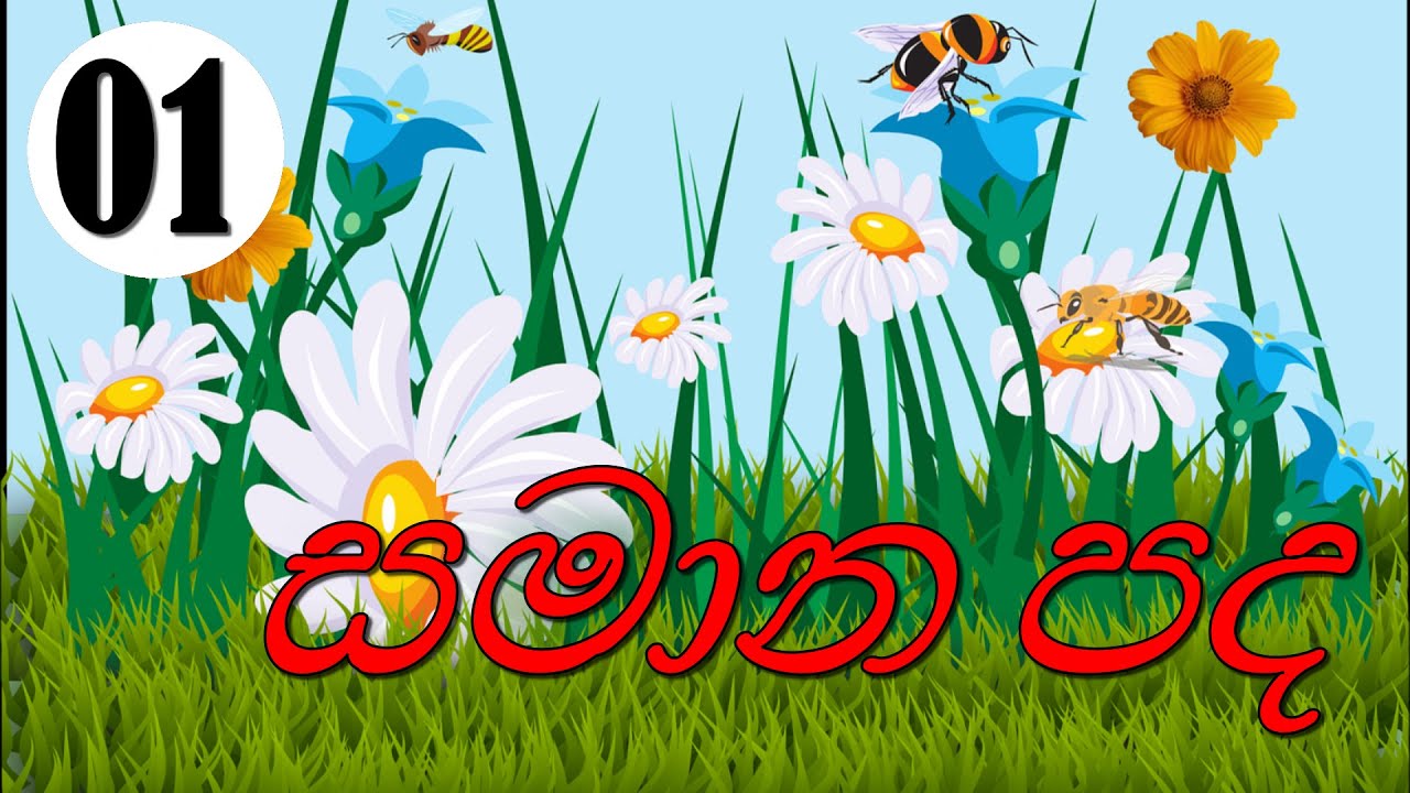 සමාන පද 01 | Samana Pada 01 - YouTube