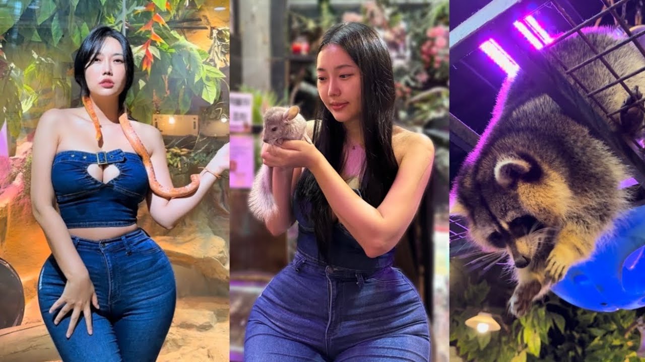 a zoo in Seoul!! - YouTube