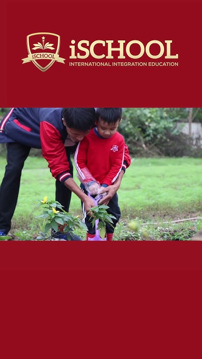 iSchool for Community | iSchool Việt Nam - YouTube