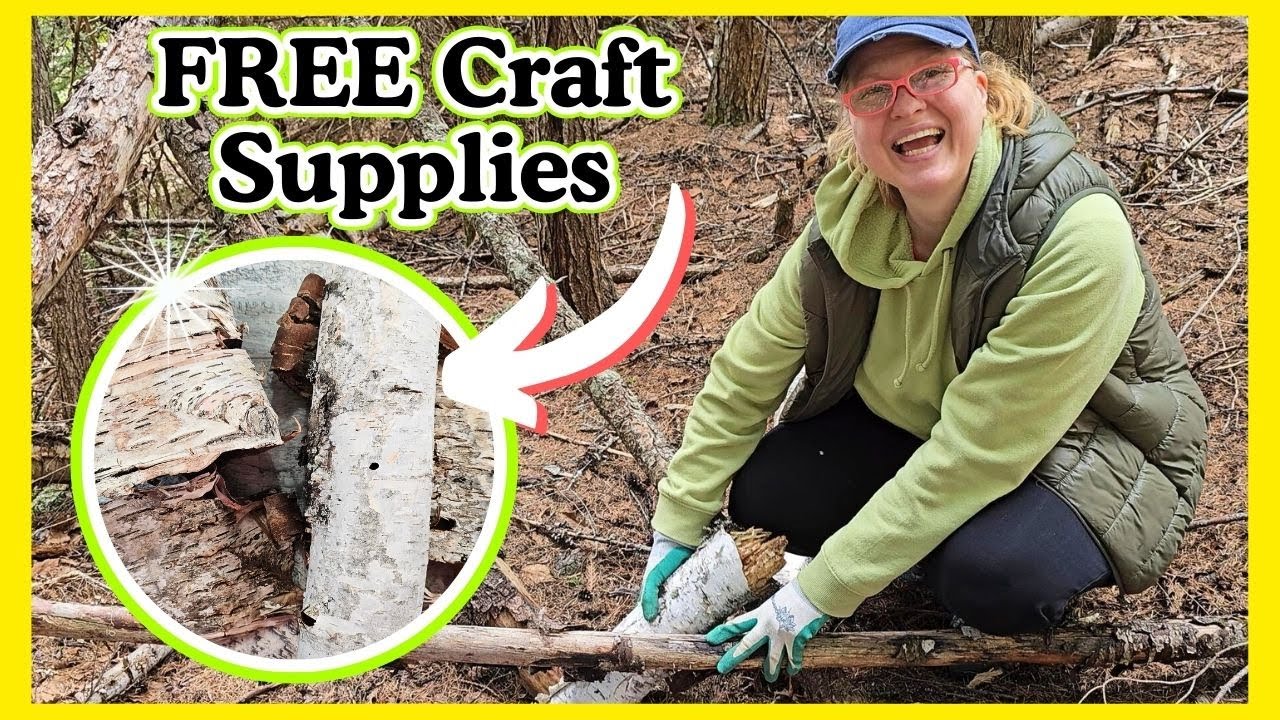 Foraging BIRCH BARK For Unique Nature-Inspired DIY Crafts - YouTube