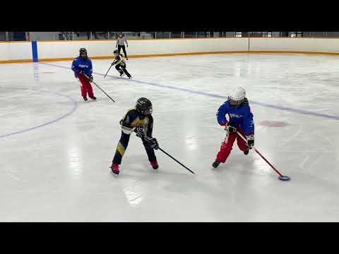 Guelph Predators @ Hamilton Heat - March 23, 2025 - U12B Ringette - YouTube