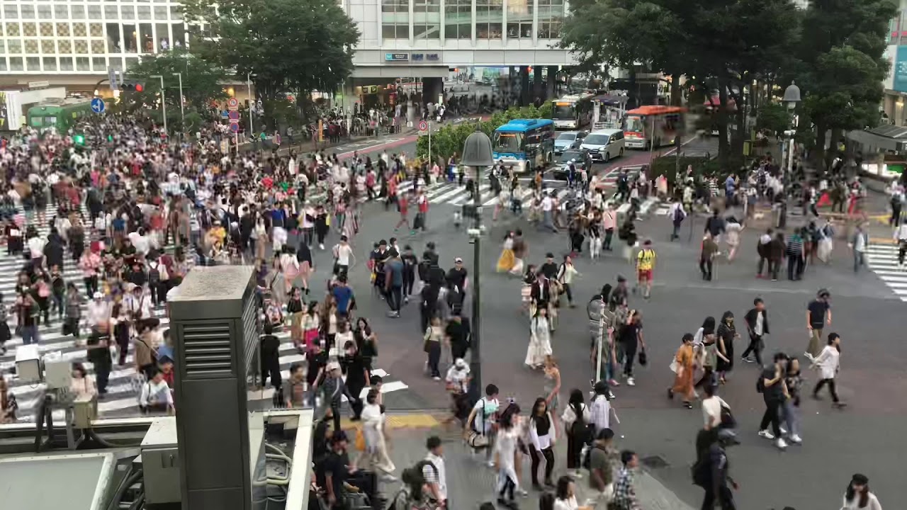The famous Shibuya Japan zebra crossing (picture taken in June 24th ...