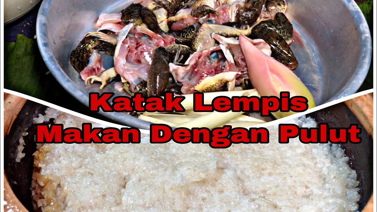 Katak Hutan Masak Dalam Daun Pisang Makan Dengan Pulut,Chef Borneo ...