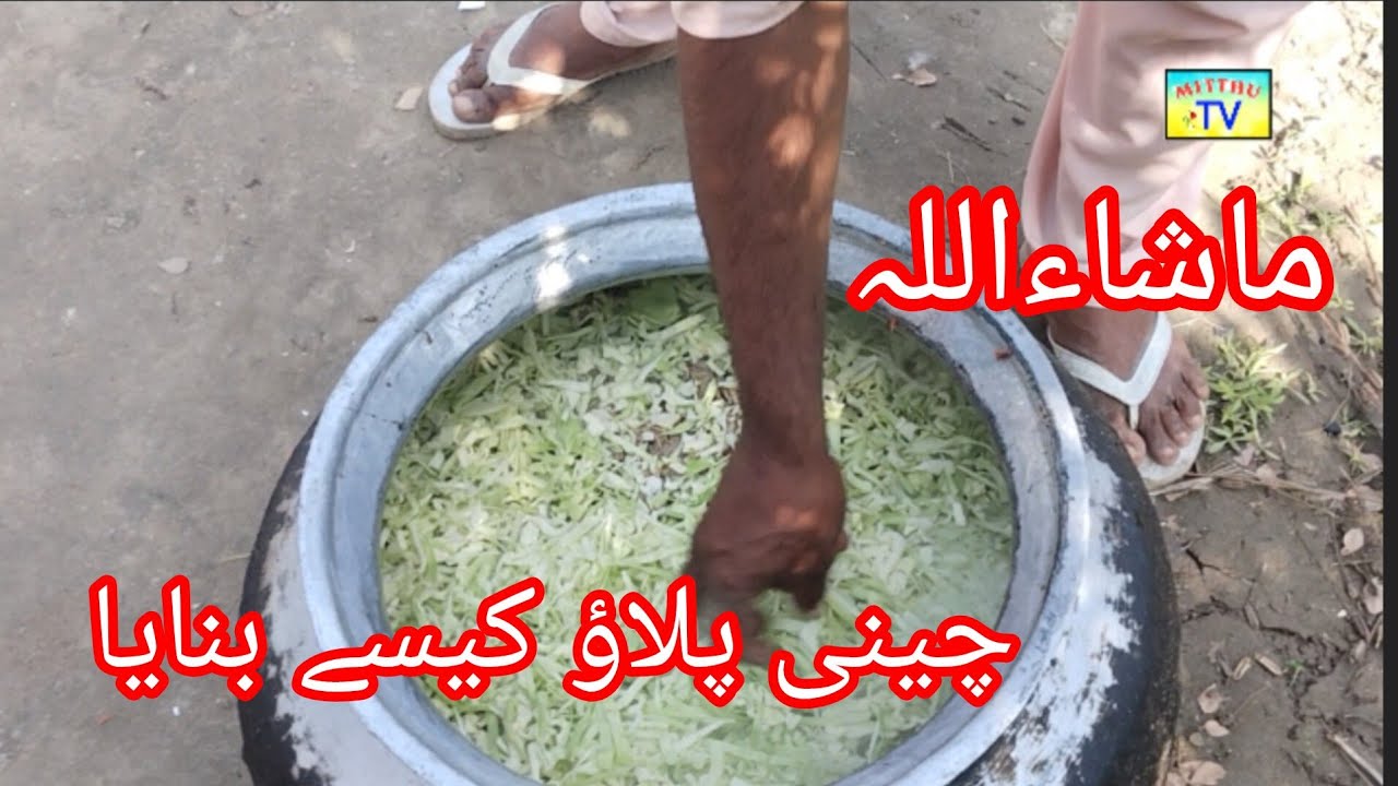 Chinese pulav Dev ki video Mithu TV - YouTube
