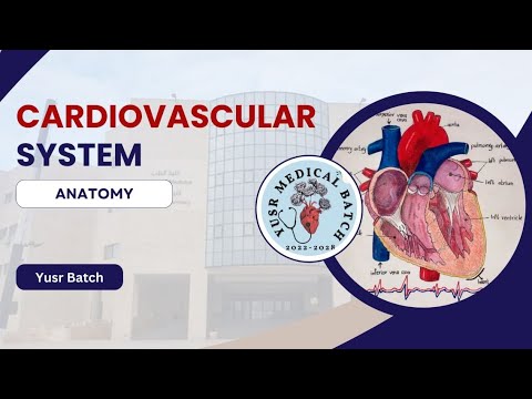 #Embryology L2 C1+C2 (1st file P2) - YouTube