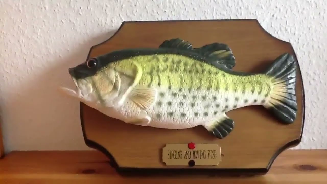 Alive Fish is singing and Dancing ,, Don't Worry be happy " - YouTube