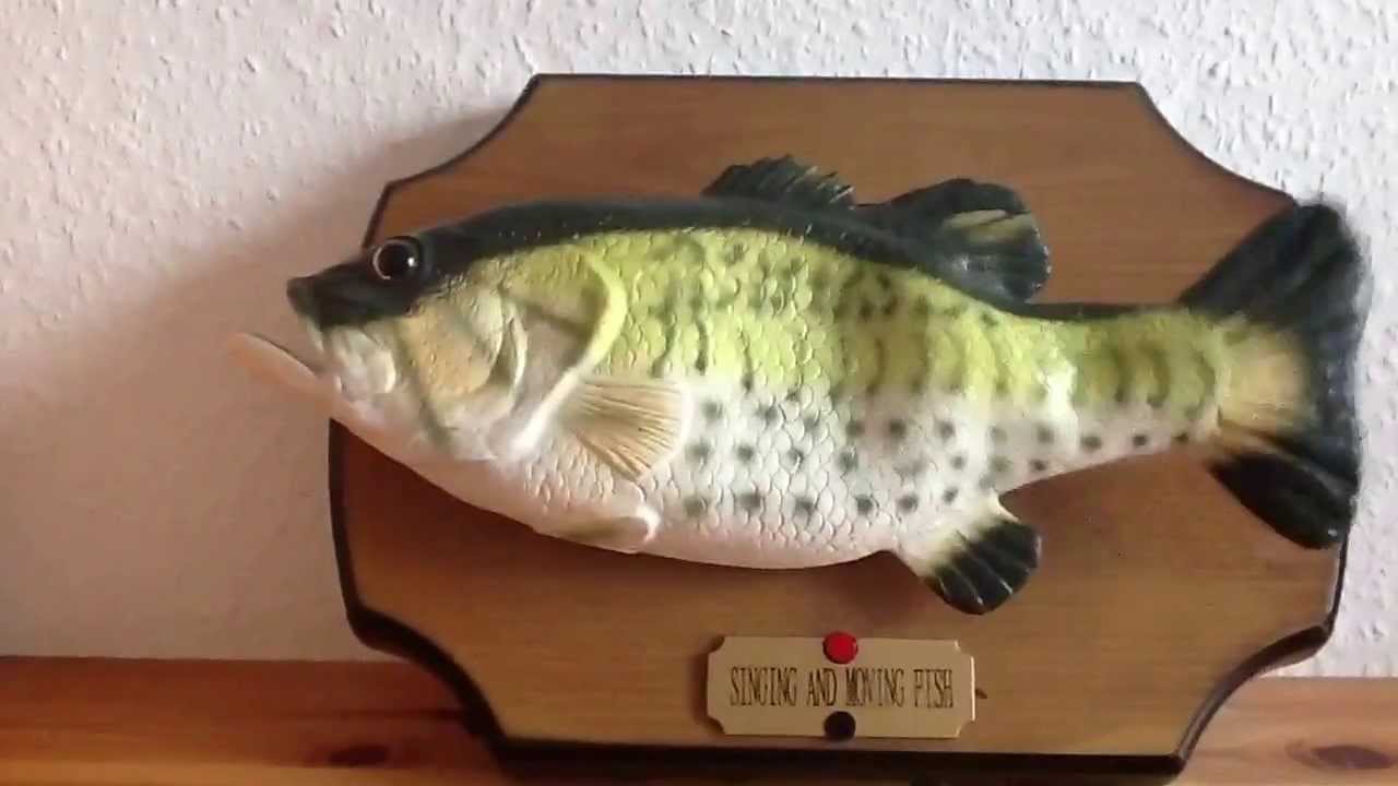 Alive Fish is singing and Dancing ,, Don't Worry be happy " - YouTube