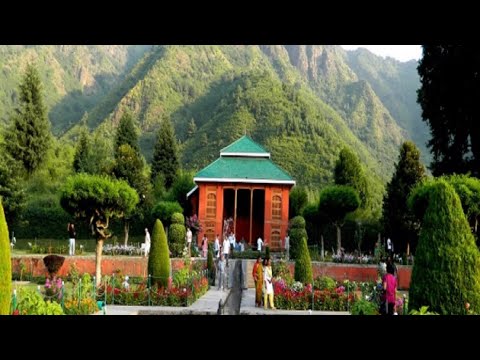 #Most beautiful place in kashmir#Chashma shahi beautiful Mughal garden# ...