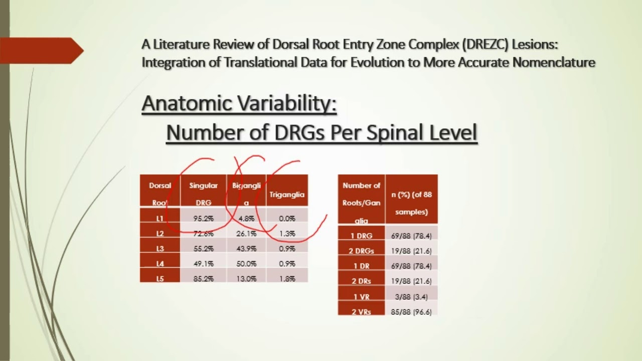 DREZC Lesions: Evolution of Nomenclature - Video abstract [ID 255726 ...