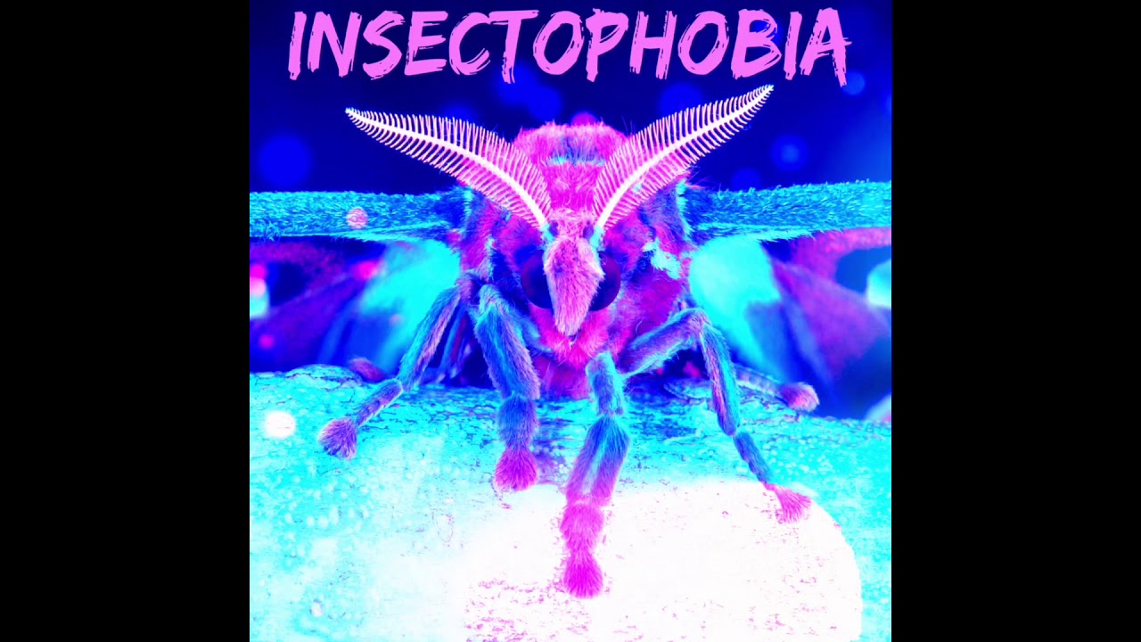 DZJ - Insectophobia - YouTube