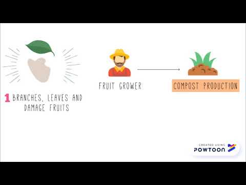 Transformation of fruit - YouTube