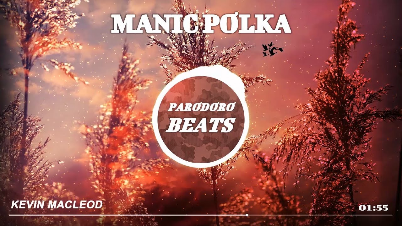 Kevin MacLeod - Manic Polka (lustige Polka Musik) [Free2Use] - YouTube