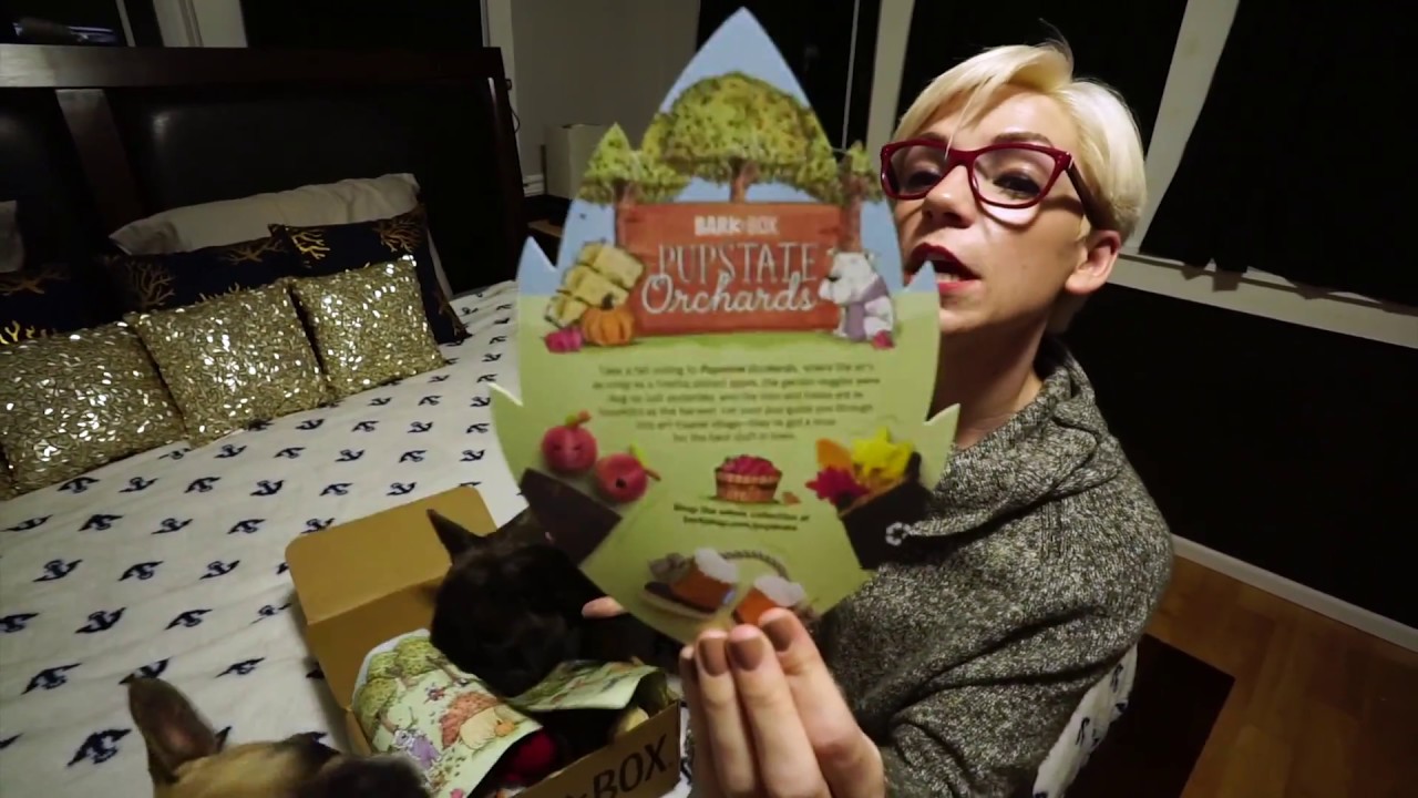 November Barkbox Opening and Review! - YouTube