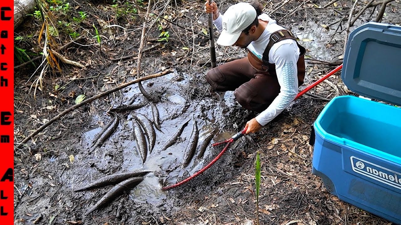 FISHING UNDERGROUND for TONS of LOST FISH in MUD NIPPER HOLE! - YouTube