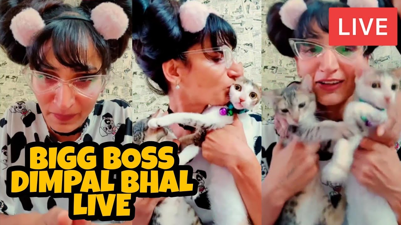 Dimpal Bhal First LIVE After Bigg Boss Malayalam For Voting - YouTube