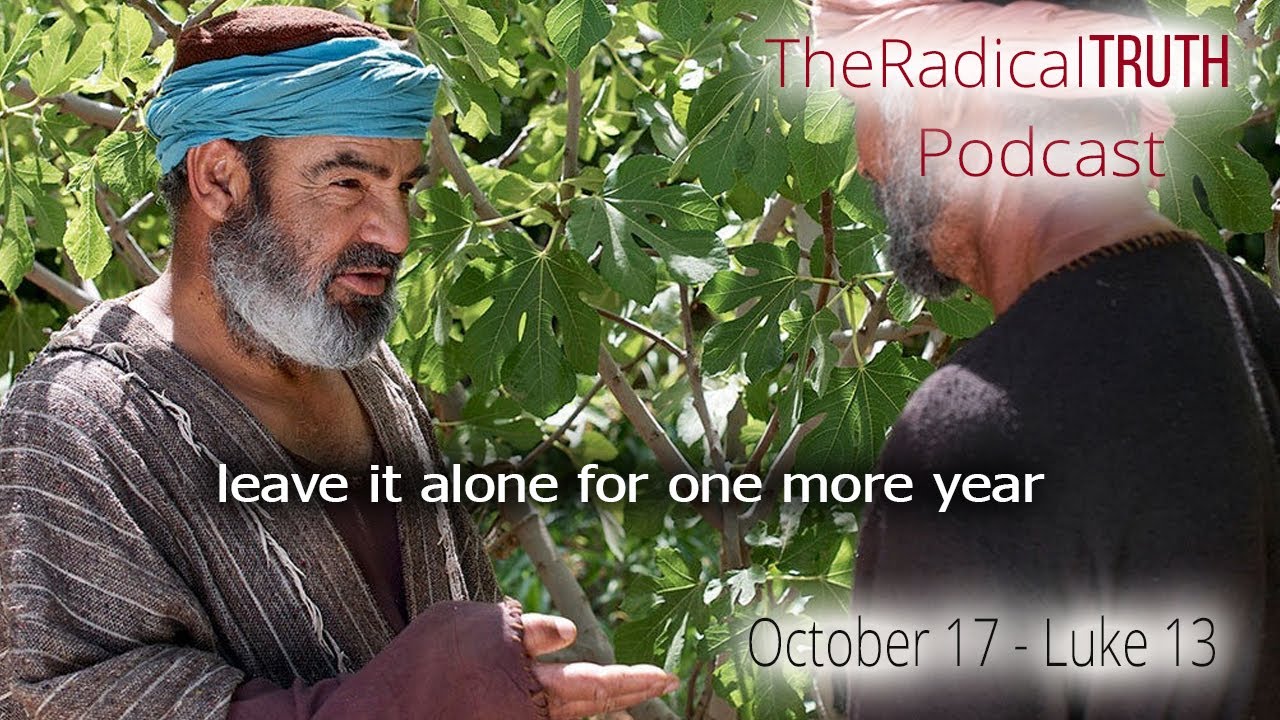 Gospel of Luke Part 70 - 13:6-24 by Glenn Meldrum - YouTube