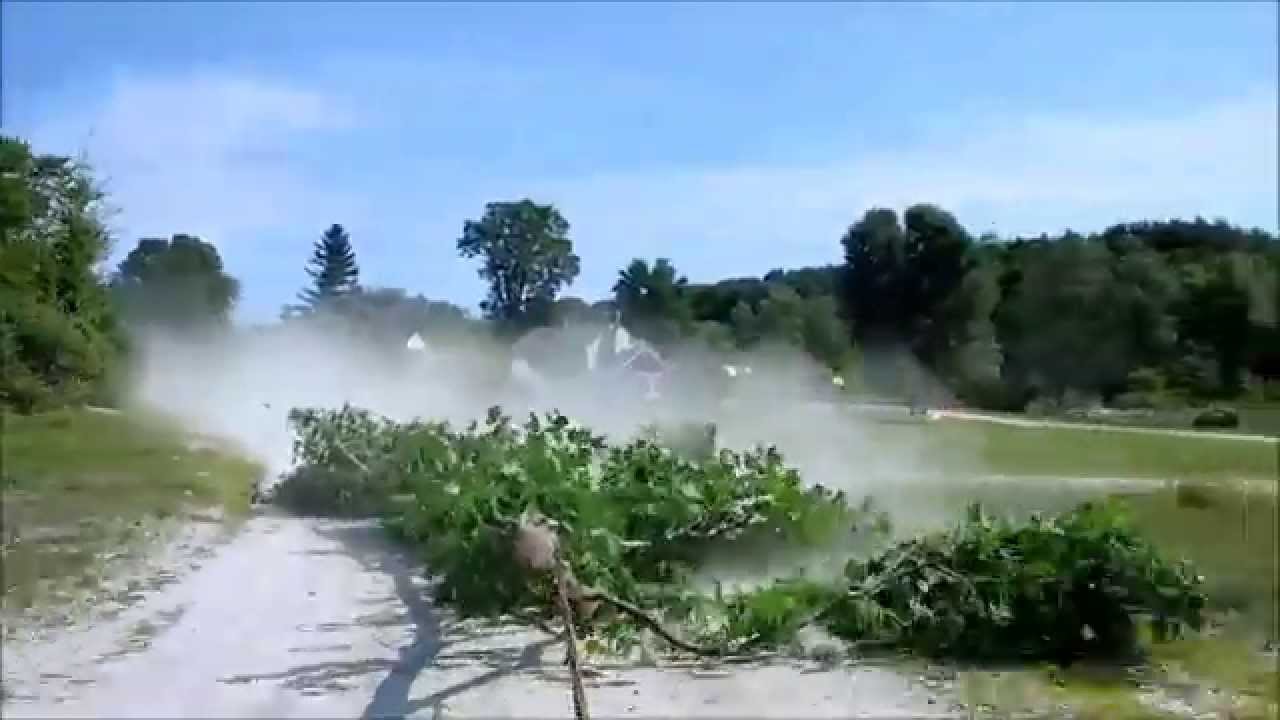 Dragging Tree Limbs - YouTube