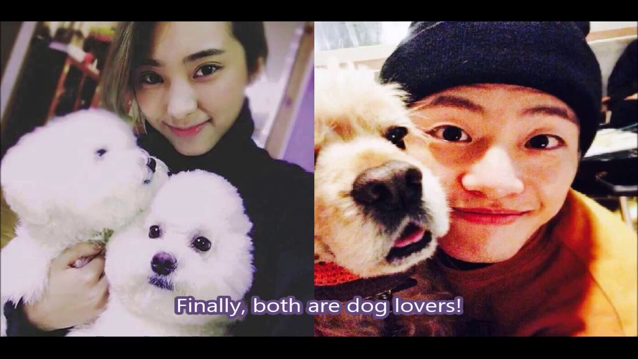 6 Reasons Bora and Feeldog are Perfect Together - YouTube